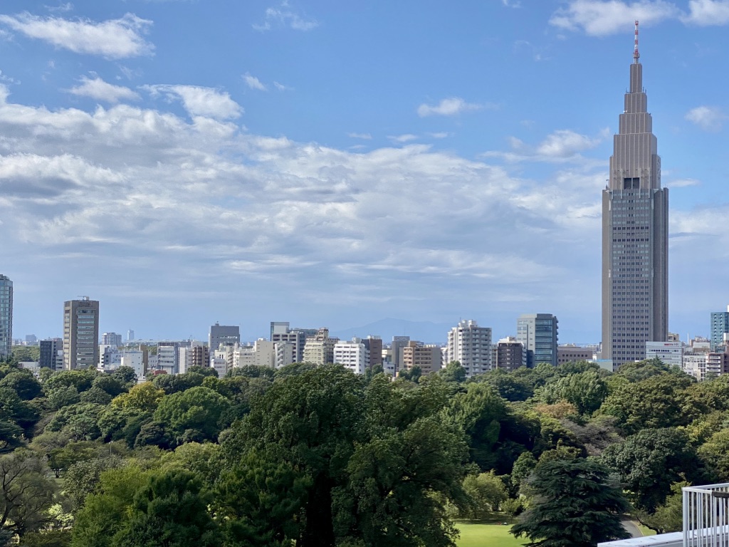 Tokyo Subway Guide 2025: How to Navigate Like a Local